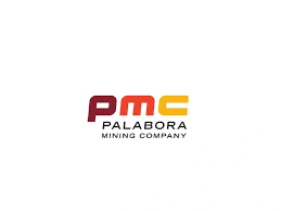 Palabora Internship